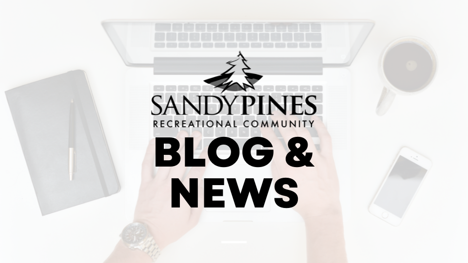 Welcome to the Sandy Pines Blog & News Page - Sandy Pines
