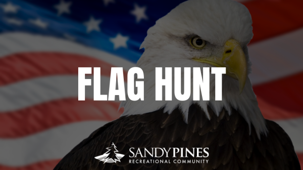 Flag Hunt - Sandy Pines