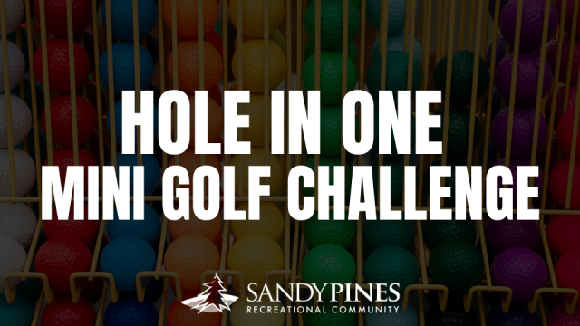 Hole In One Mini Golf Challenge - Sandy Pines