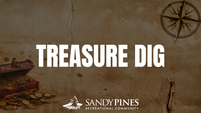 Treasure Dig - Sandy Pines